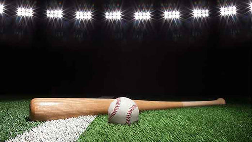 The Great Debate - Wood VS Metal – The Wood Bat Factory